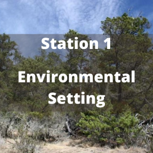 RCIS – Environmental Setting