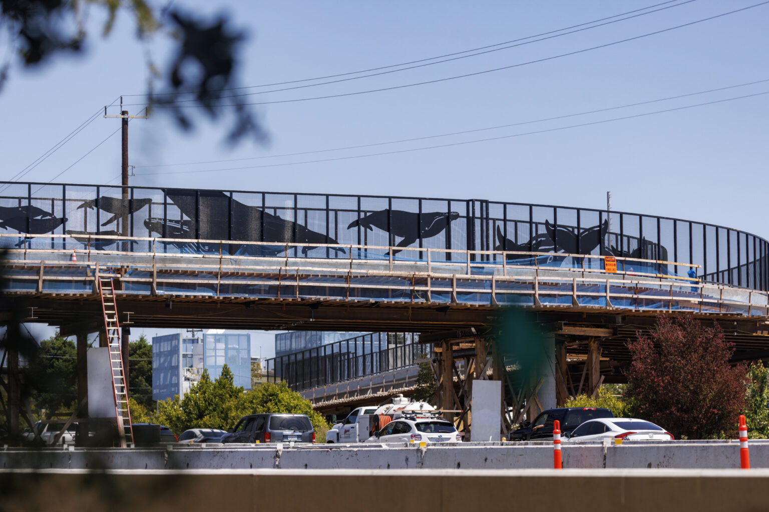 Chanticleer bicycle/pedestrian bridge over Highway 1 (photo by Kevin ...